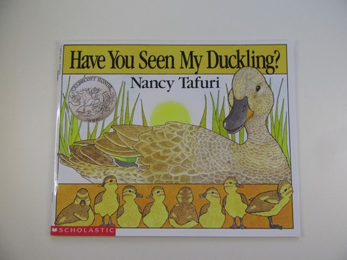 Have You Seen My Duckling? By Nancy Tafuri Scholastic Childrens Book ...
