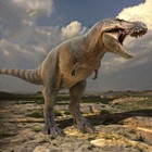 PNSO Zhuchengtyrannus magnus Lu Xiong DINOSAURS SCIENTIFIC ART MODEL | eBay