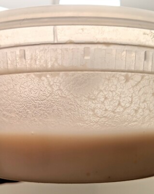 Microworm Starter Culture - Easy Live Food for Fry, Nano Fish, Guppy ...