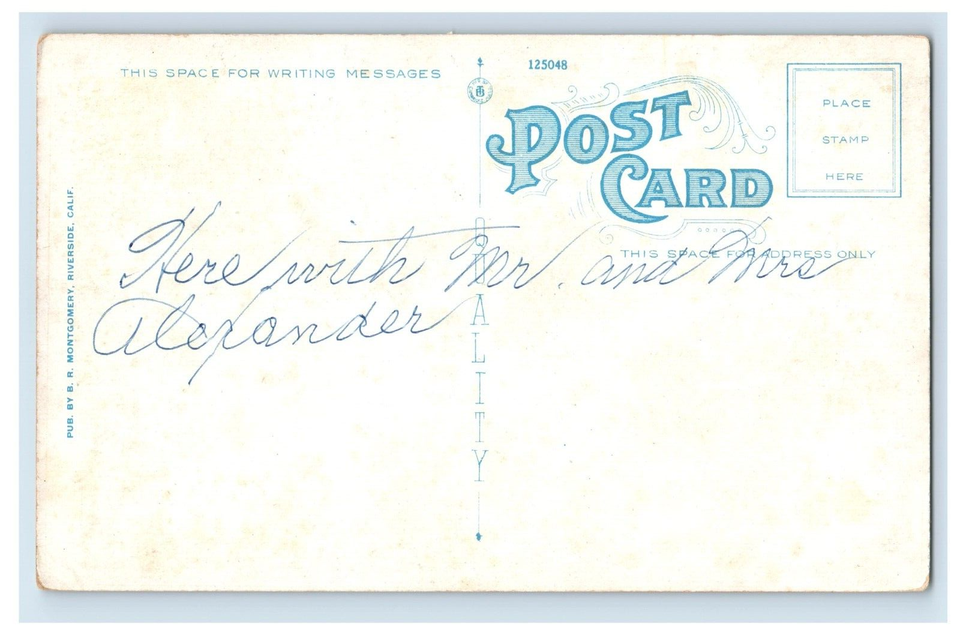 C. 1915 Arrowhead Springs Hotel Swimming Pool California Vintage ...