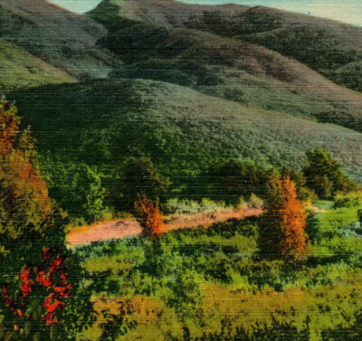 Mt Madison and Adams Forest View Illustration Print Randolph NH Vintage ...