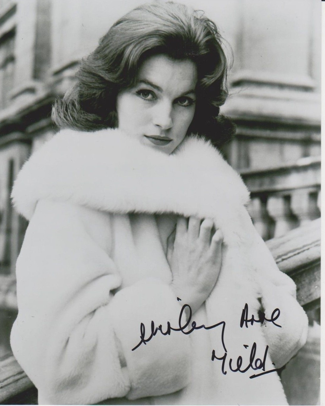 Shirley Anne Field Signed 8x10 Photo -Star of THE ENTERTAINER ...