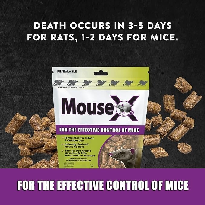 EcoClear 620200-6D MouseX All-Natural Poison Free Humane for Rats and ...