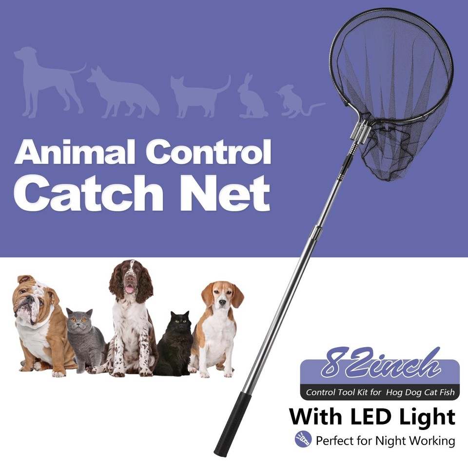 Animal Catcher Net, Dog Catching Net, Animal Catch Pole Tools for ...