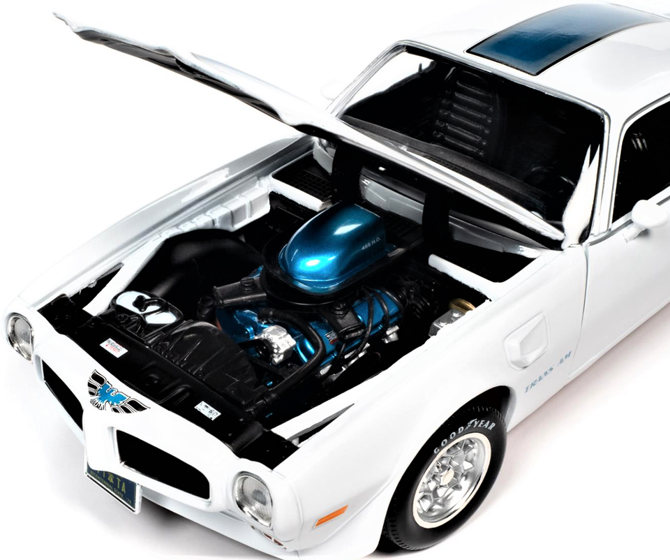 1 Pontiac Firebird Trans Am Race Car 12 Custom Built Model 18Racing1967 ...