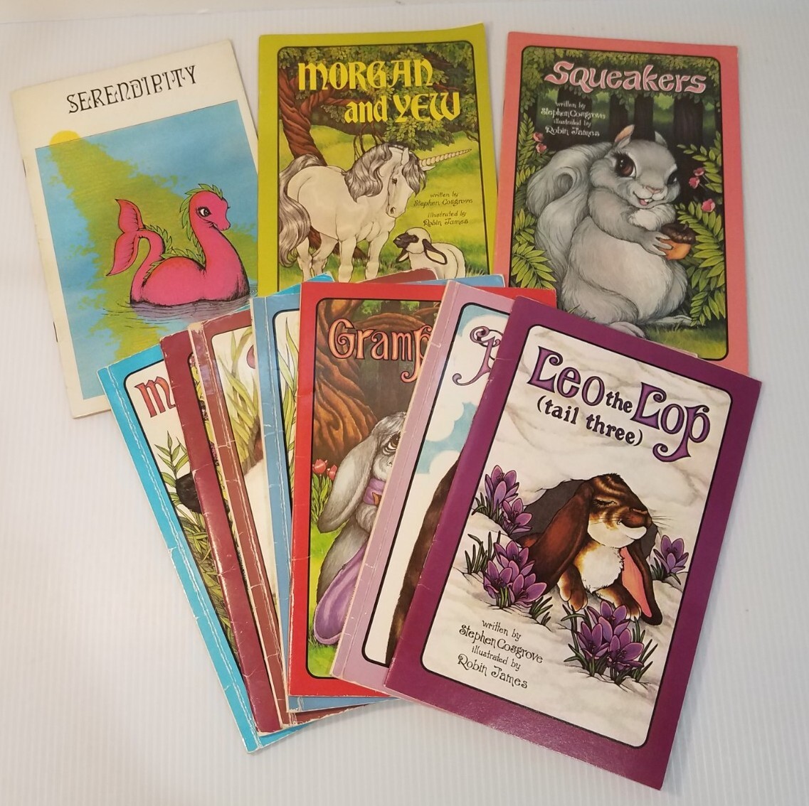 Serendipity Books Robin James