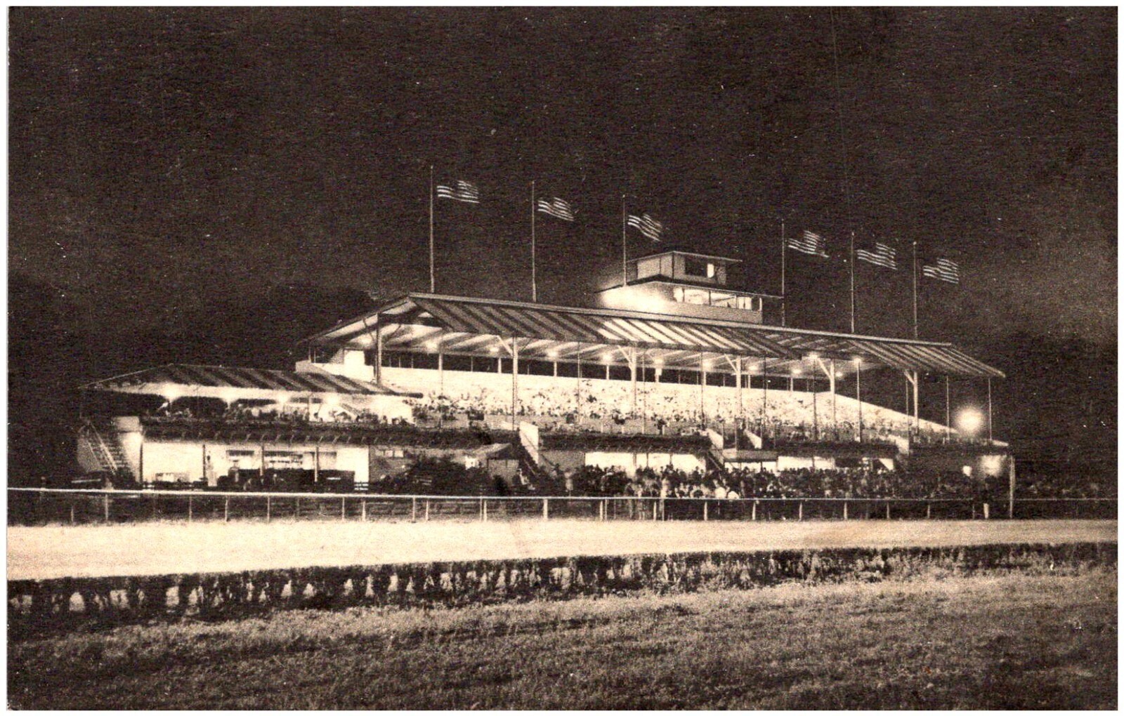 Saratoga Springs Raceway New York Albertype Postcard Harness Horse ...