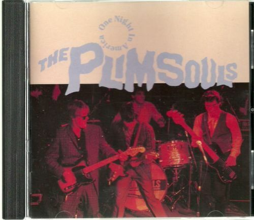 THE PLIMSOULS - One Night In America (CD, 1989 Fan Club/New Rose ...