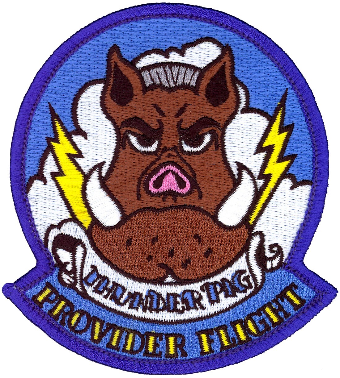 USAF 48th FLYING TRAINING SQUADRON PATCH – PROVIDER FLIGHT | eBay