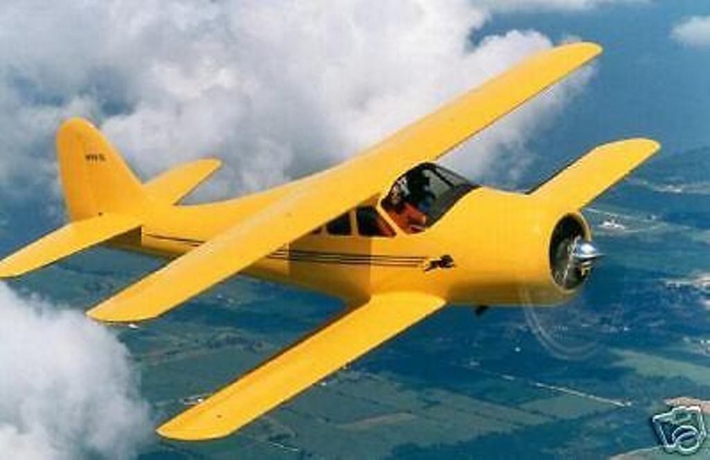 Griffon Aerospace Lionheart Airplane Wood Model Free Shipping | eBay