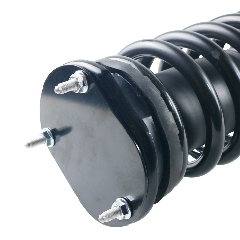 Air Suspension to Coil Spring & Strut Conversion Kit For Mercedez X164 ...