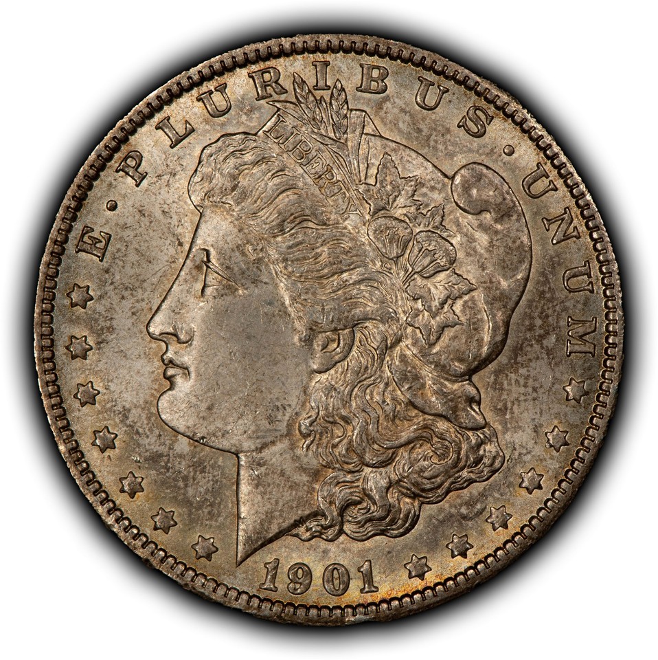 1901-O $1 Morgan Silver Dollar - Luster - Original Toning - SKU-D7486 ...