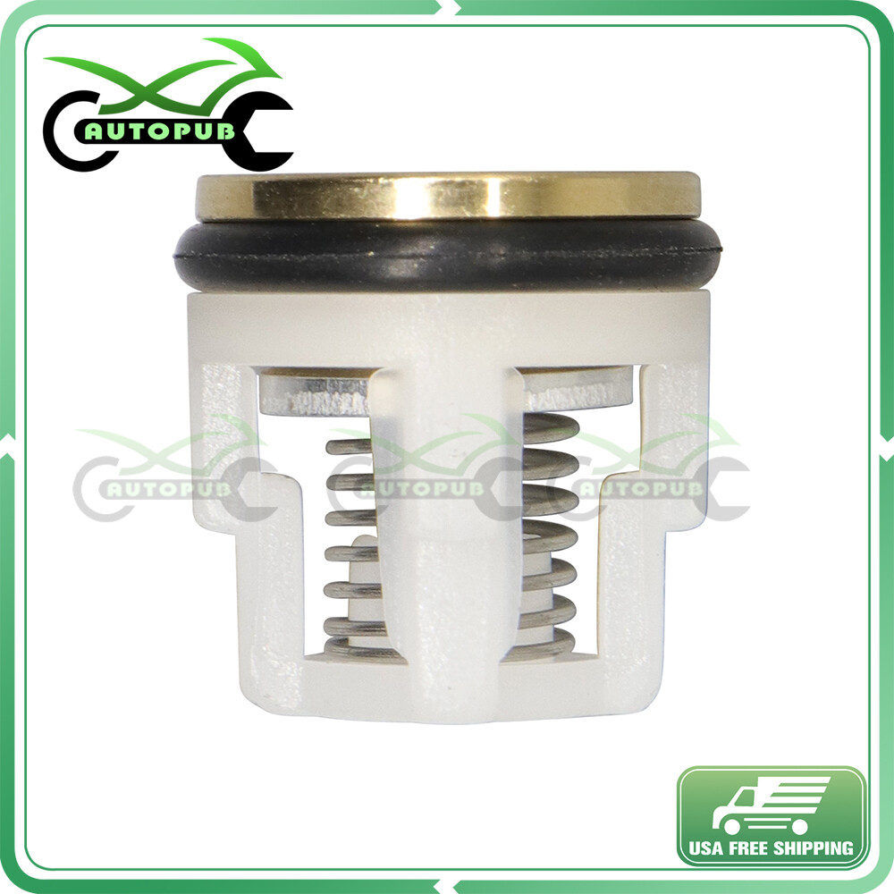Check Valve Kit 42123 For Annovi Reverberi Rmw Rmv Srmv Pressure Washer ...