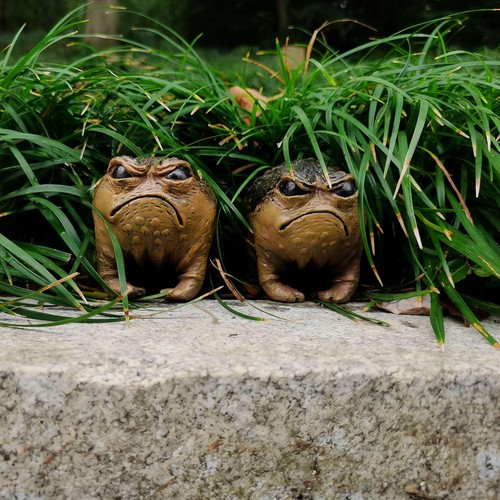 Weird Queer Grumpy Frog Toad Statue Ugly Angry Outdoor Garden Yard ...