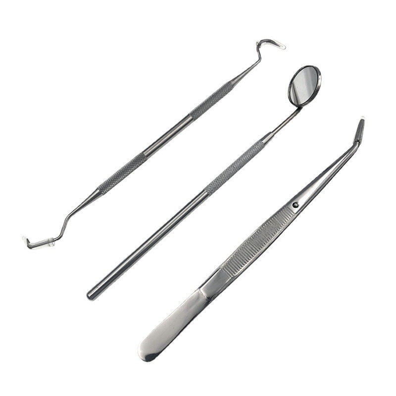 3pcs/set Basic Dental Instruments Set Mouth Mirror Explorer Cotton ...