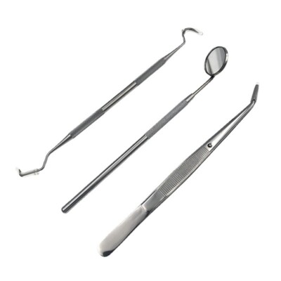3pcs/set Basic Dental Instruments Set Mouth Mirror Explorer Cotton ...