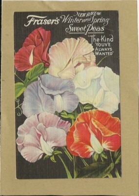 FRASER'S SEEDS Sweet Peas Flowers Advertising Linen Beautiful Old ...
