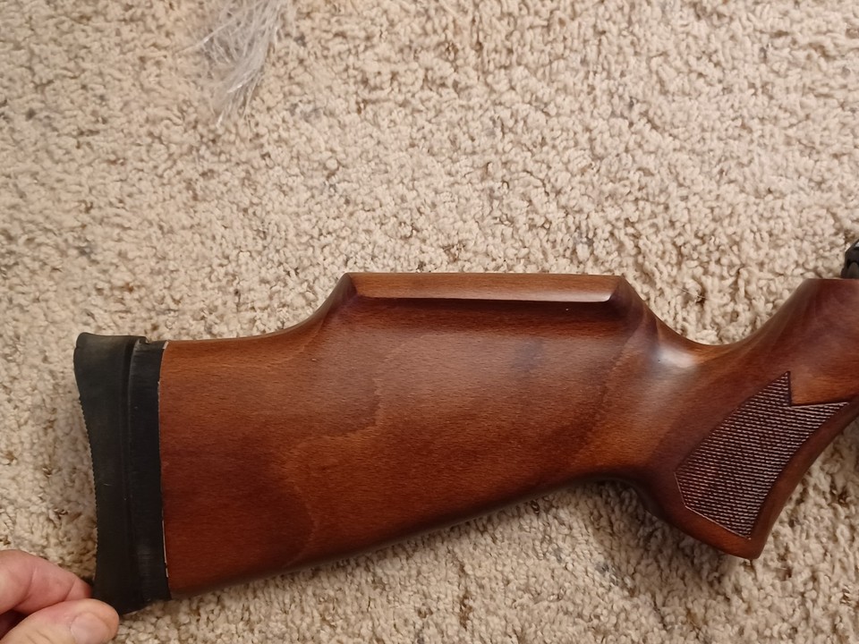 BSA Super Ten .22 Precharged Repeater Holds & Shoots S10 | eBay