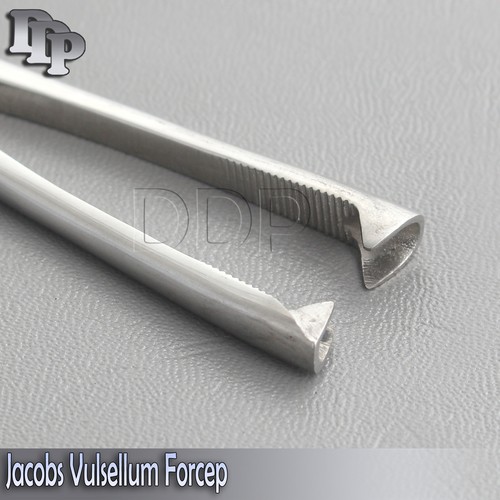 Jacobs Vulsellum Forceps 8.5'' Straight Surgical Ob/Gyne,Instrum ents ...