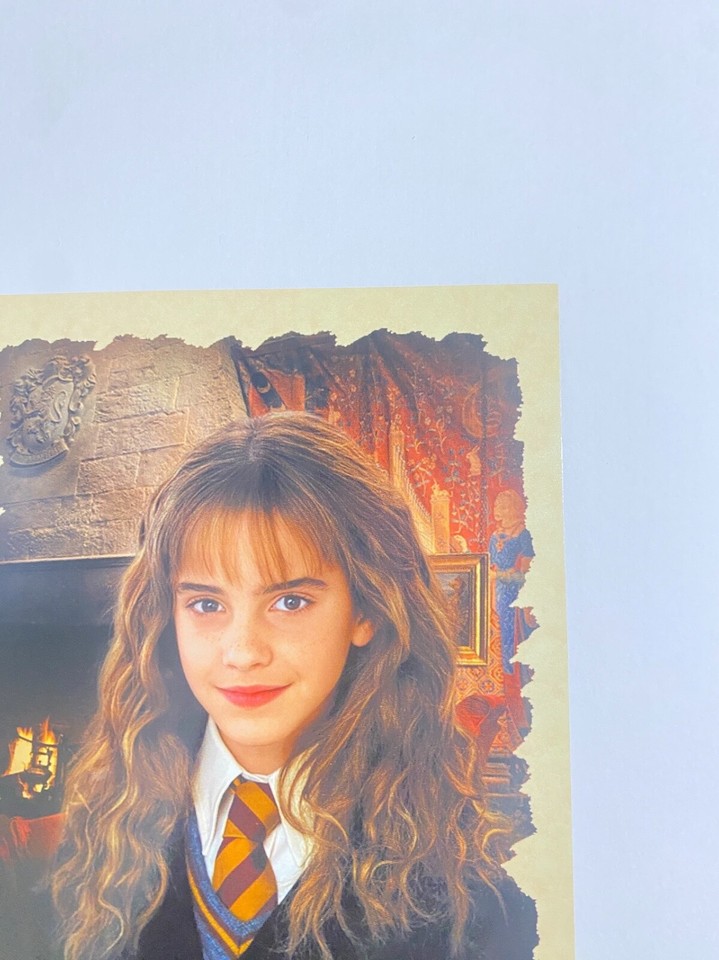 Hermione Granger Harry Potter and the Chamber of Secret Limited ...