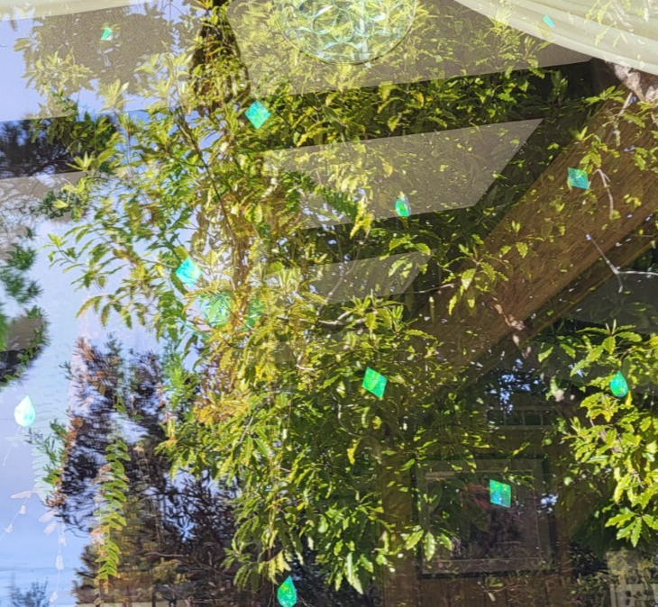 Window Decal to stop bird strikes and crashes on glass. Handmade in USA ...