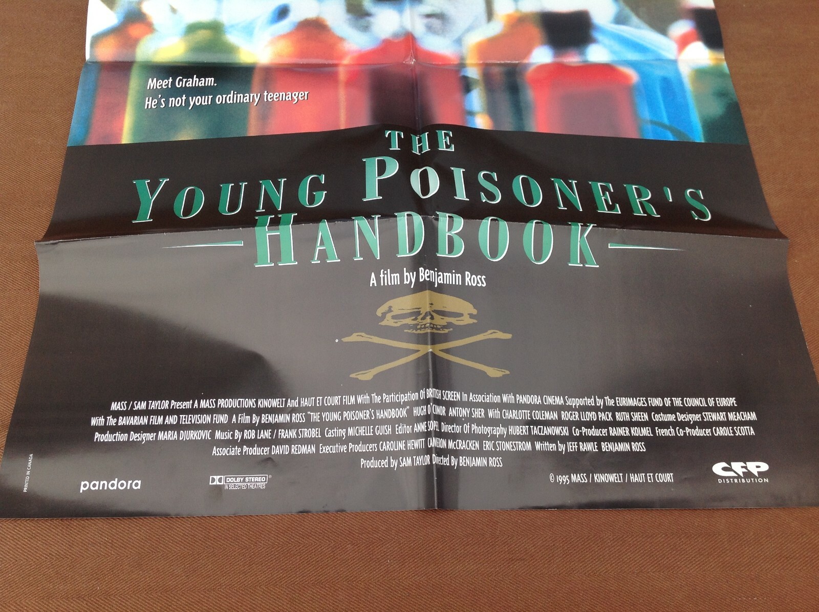 1995 The Young Poisoner's Handbook Original Movie House Full Sheet ...