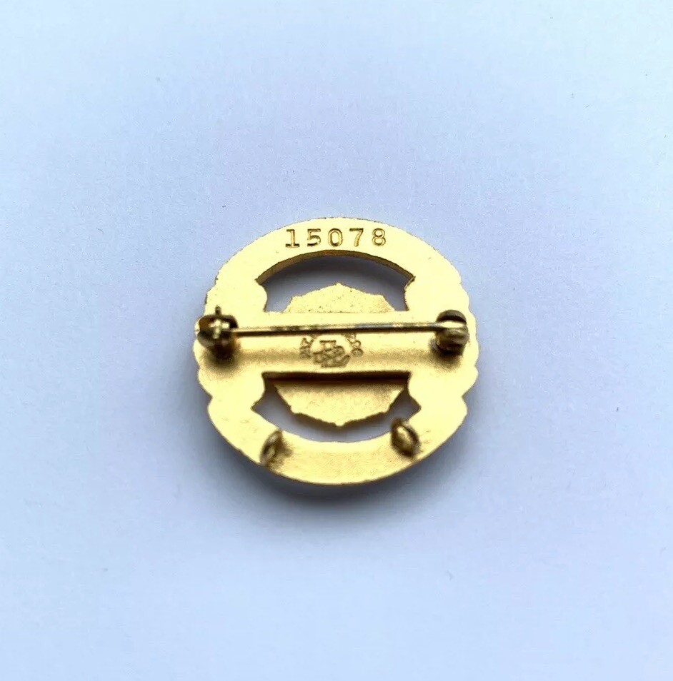 American Legion Auxiliary Pin Volunteer Hospital Worker Enameled ...