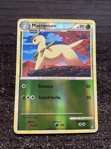 MACRONIUM REVERSE - POKÉMON 40/95 APPEL DES LEGENDES NEUF FR | eBay