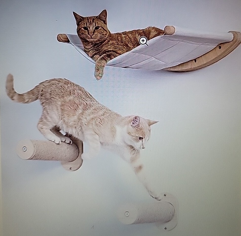 7 Ruby Road Cat Hammock Wall Mounted Cat Shelf with Two Steps Cat Wall ...