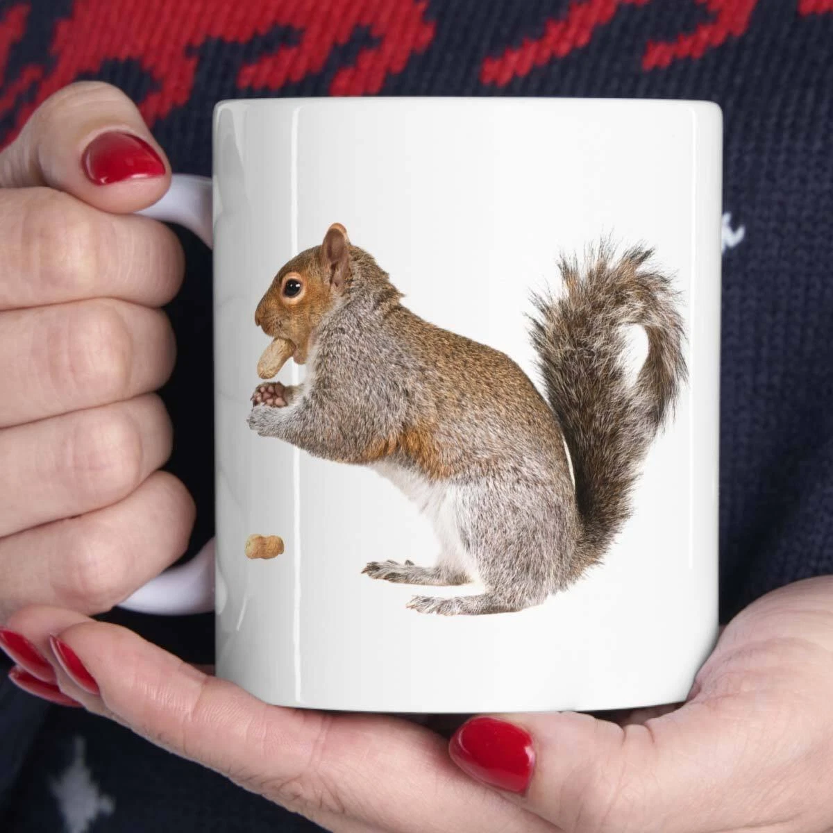 Funny Squirrel Nuts Pictures
