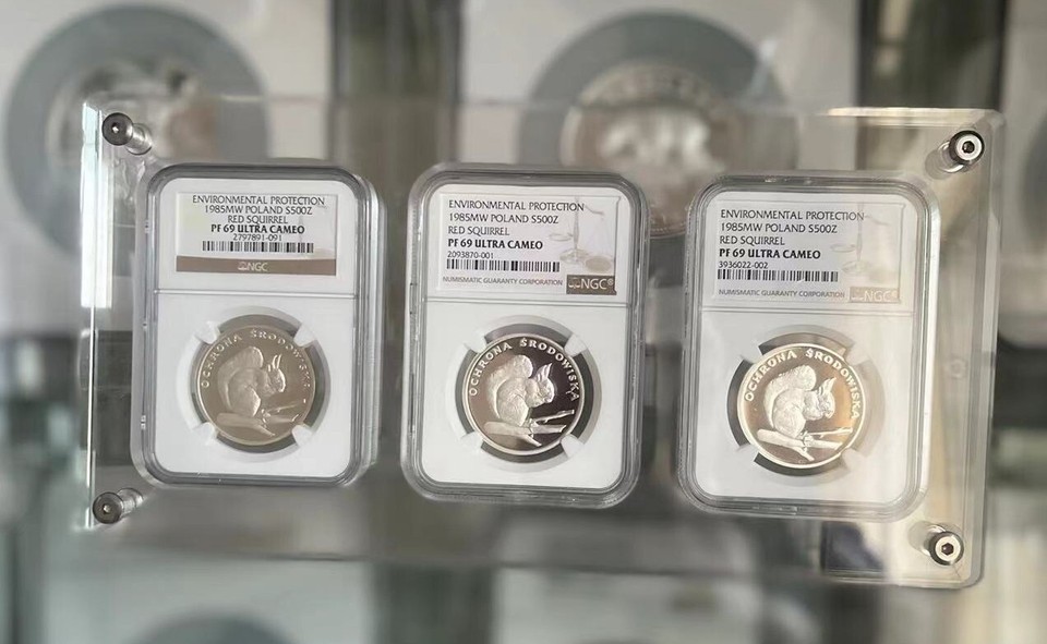 Crystal Acrylic Display Frame Storage Case For ANACS/NGC/PCGS Coin Slab ...