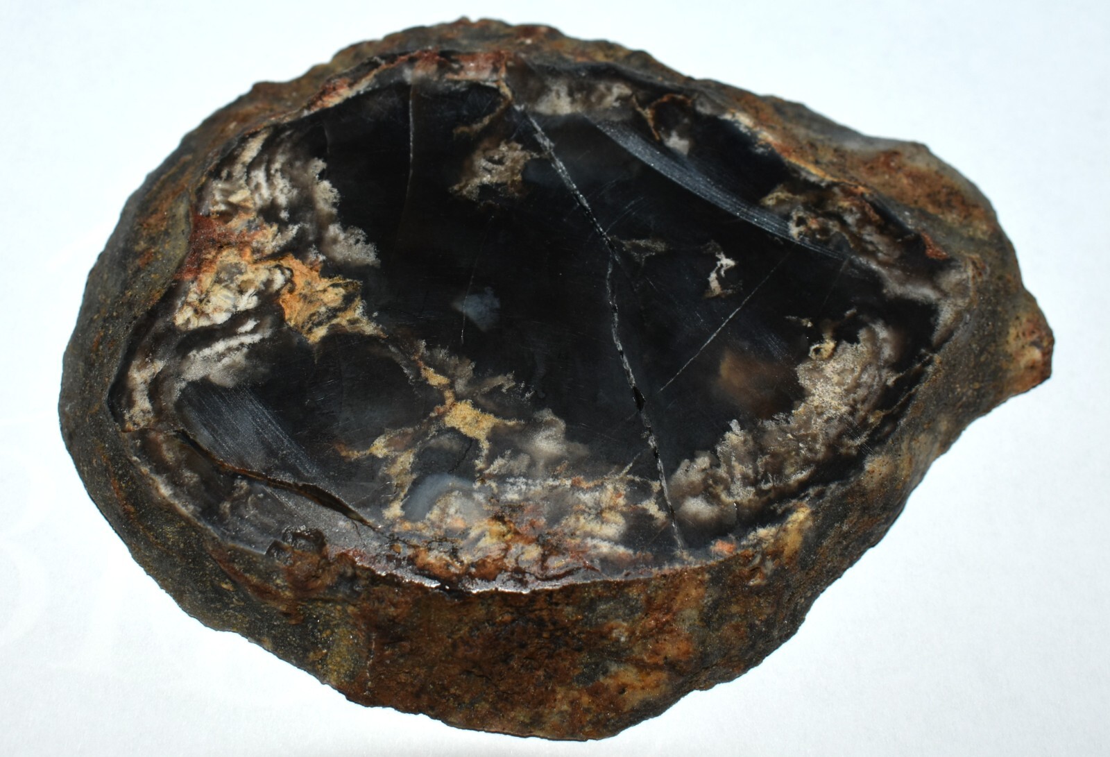 Black Agate Thunderegg Geode North Carolina Transparent Quality Coaster ...