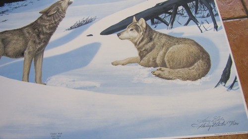 Lot/5 HARRY ANTIS PRINTS GALLERY OF N AMERICAN WILDLIFE S/N 177 BEAR ...