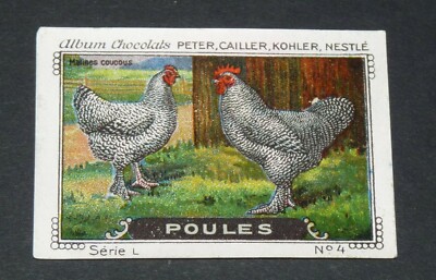 CHROMO PETER CAILLER KOHLER NESTLE 1928 SERIE L POULES N°4 MALINES ...