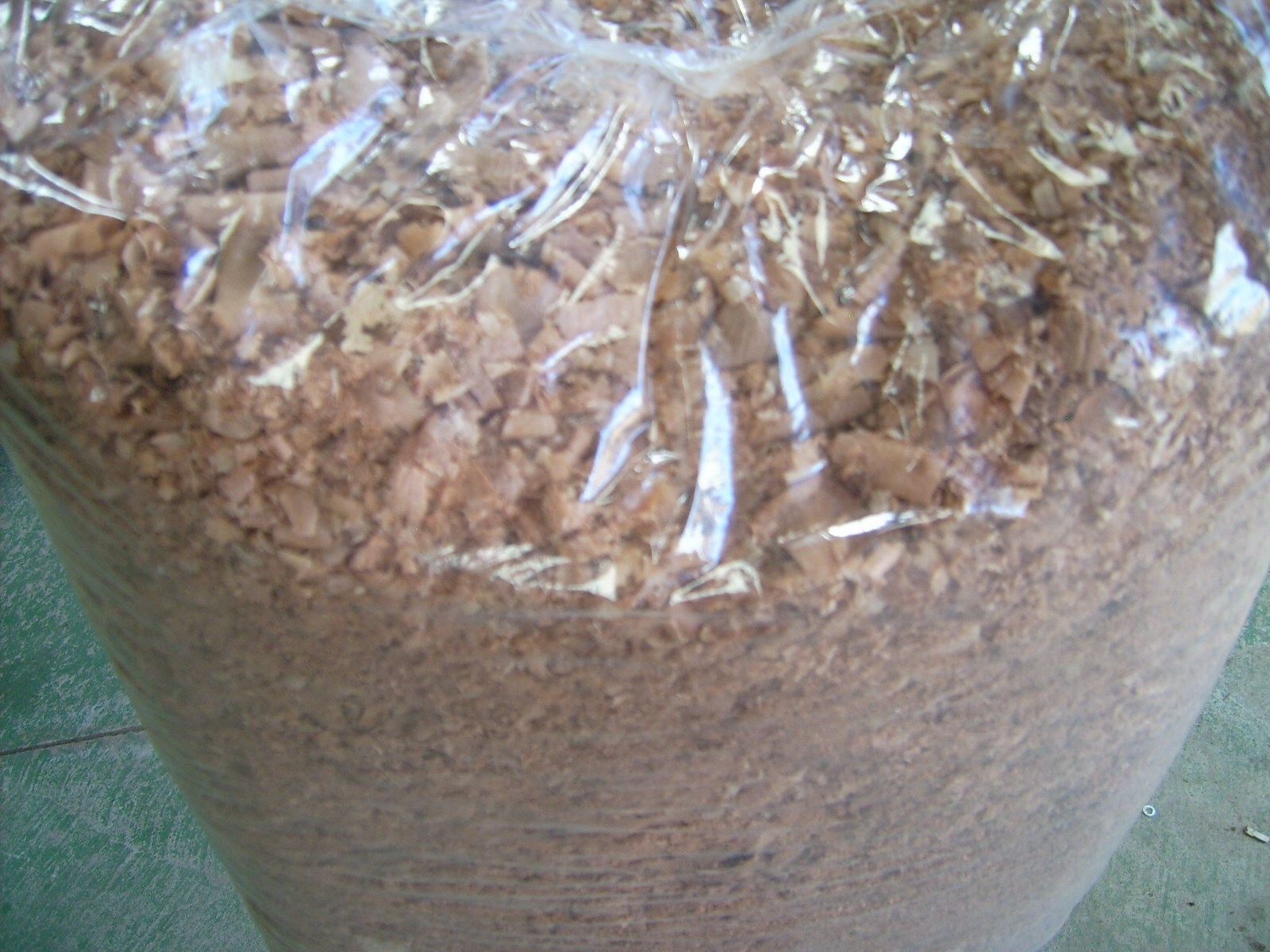 1.4kg Cedar shavings chips Natural Moth Repellent Odour Protection ...