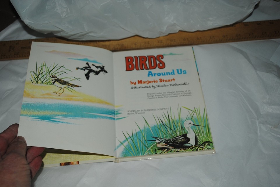 Birds around us (A Whitman learn about book) Stuart, Marjorie | eBay