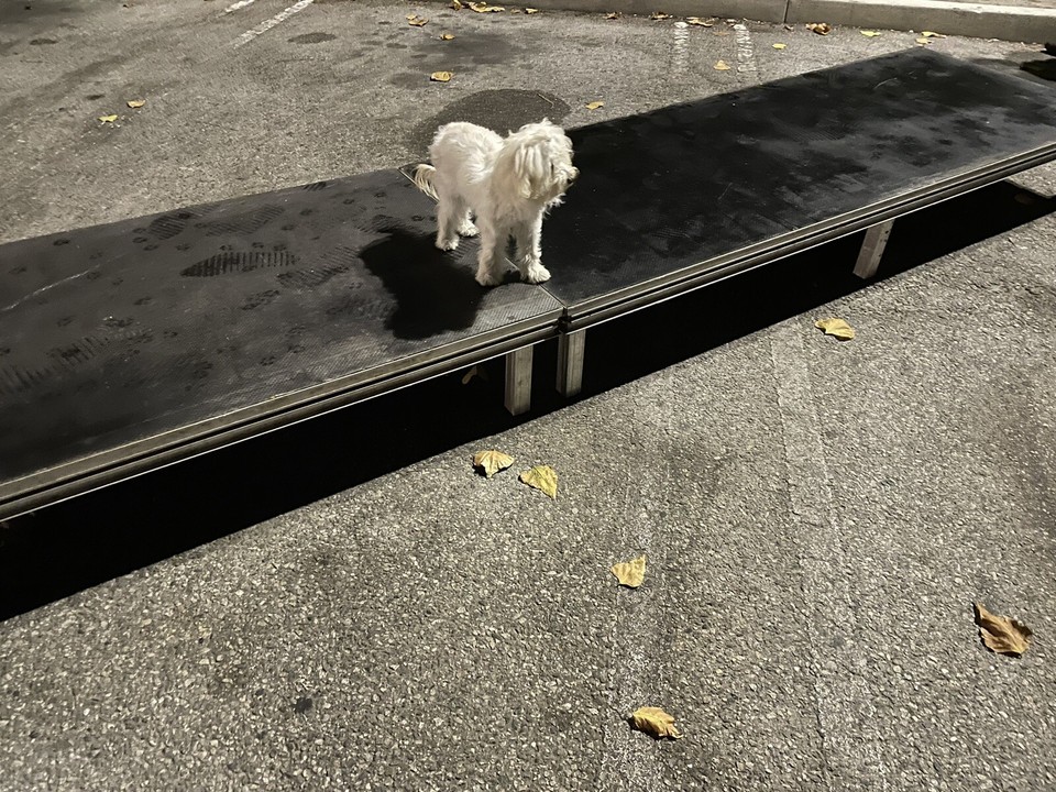 Wenger Versalite Stage Staging Platform With Legs 6’x3’ And 8’x3’ | eBay