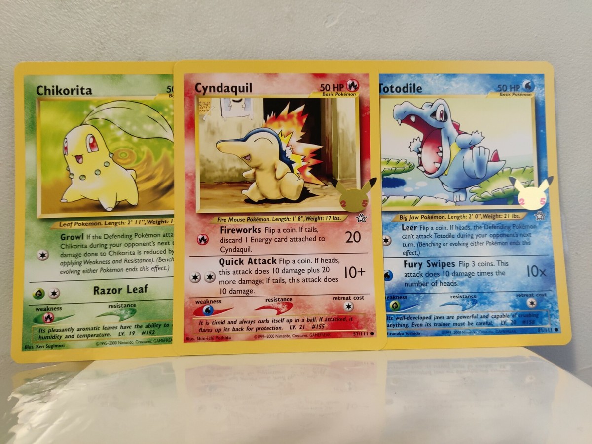 Johto Region Starter Pokemon