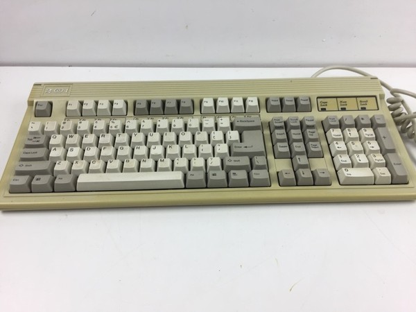 Vintage Focus Fk-2001 PC at Keyboard With Clicky Mechanical Switches ...
