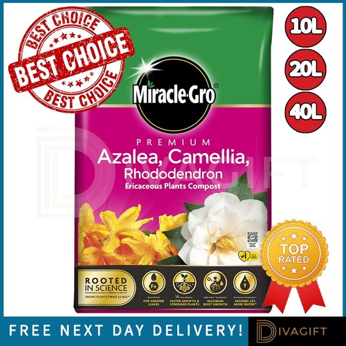 ERICACEOUS COMPOST AZALEA CAMELLIA RHODODENDRON PLANTS 10L 20L 40L ...