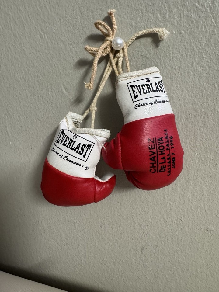 Everlast Mini Boxing Gloves souvenir Chavez vs De La Hoya June 7, 1996 ...