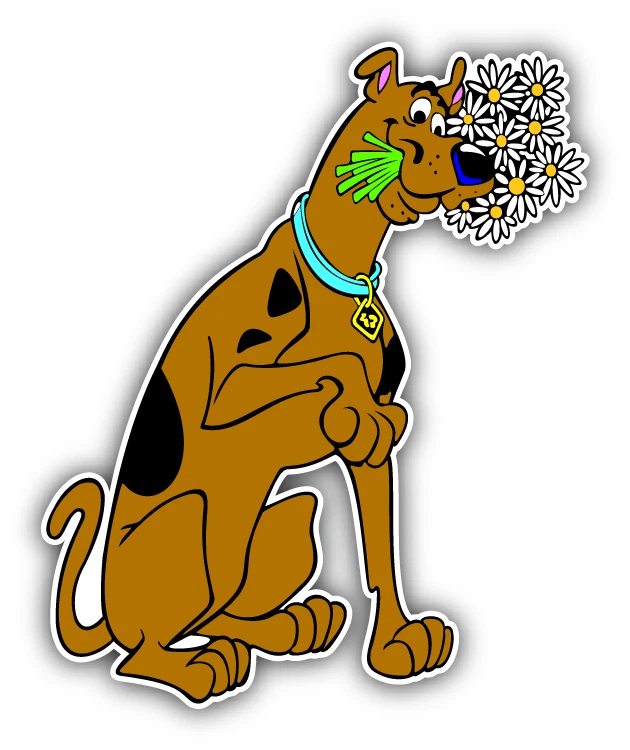Scooby Doo Flowers