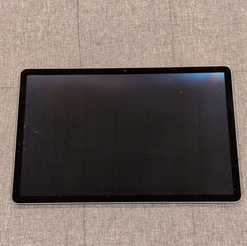 AS IS Cracked Screen Samsung Galaxy Tab S9 SM-X710 256GB Gray | eBay