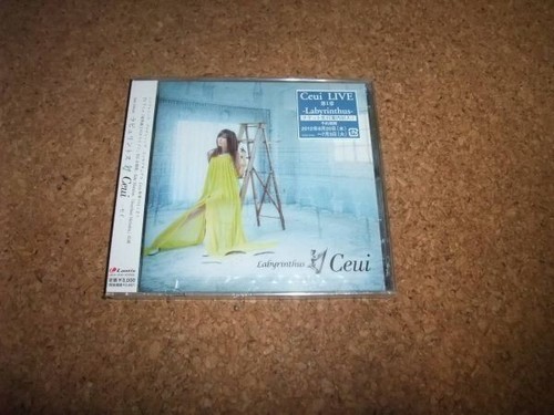 CD Surface Case Crack Cei Labyrinthus y4 | eBay