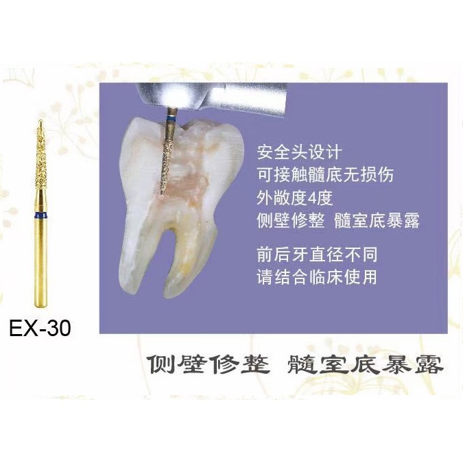 1Set Dental burs preparation Pulpotomy access Open pulp cavity Bur kit ...