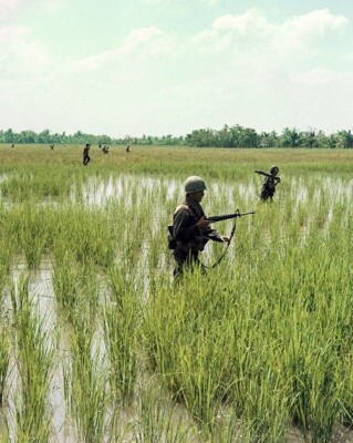 U.S. Soldiers on patrol moving through Rice Paddies 8x10 Vietnam War ...