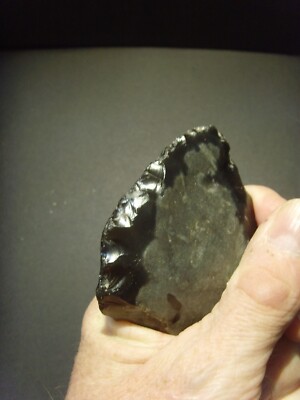 Neolithic & Paleolithic - Neanderthal Convex