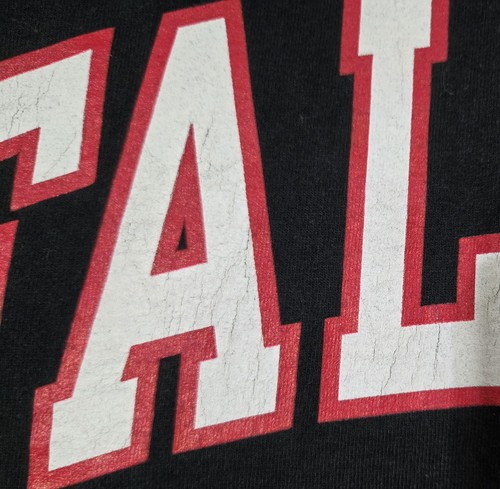Vintage Champion Brand 1996 Atlanta Falcons Proline Nfl Tshirt Large | eBay