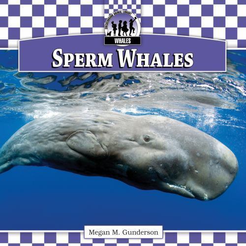 Sperm Whales by Gunderson, Megan M. 9781616134518| eBay