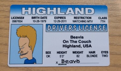 Beavis- Beavis And Butthead- Novelty ID License | eBay